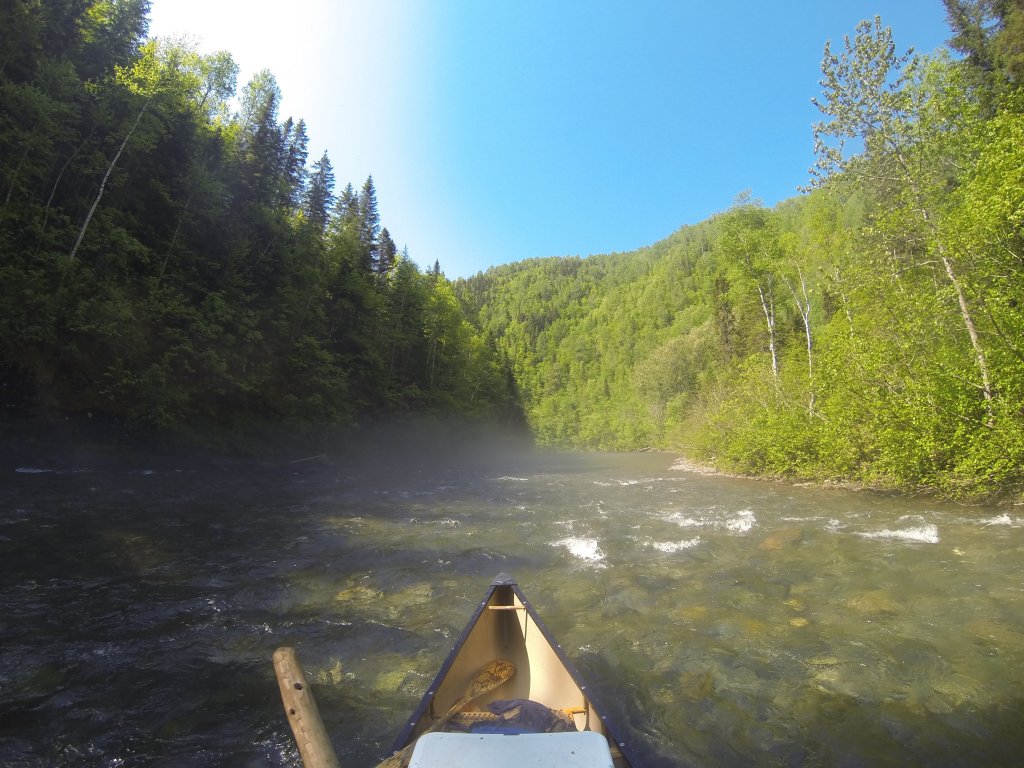 Misty Morning On The Bonaventure River