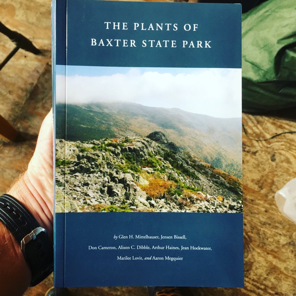 Northern Maine Plant ID Book | The Plants Of Baxter State Park